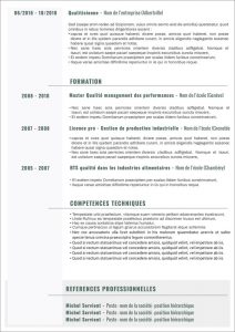 CV Technique (modèle de CV à télécharger) - Travailler-en-Suisse.ch ...